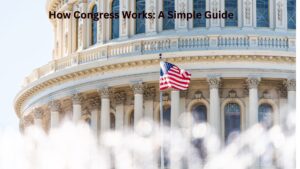 How Congress Works