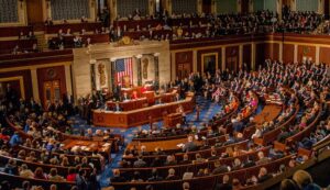 The Structure of the U.S. Congress: Senate and House Work